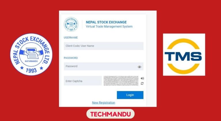 34 broker companies will use new TMS from January, 2024